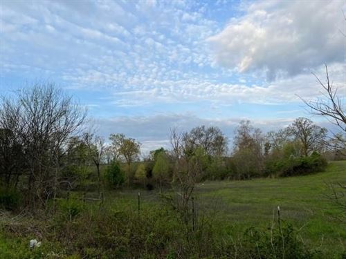 Georgia Cattle Farms for Sale : FARMFLIP
