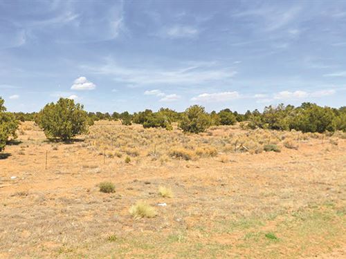 New Mexico Farms for Sale : FARMFLIP