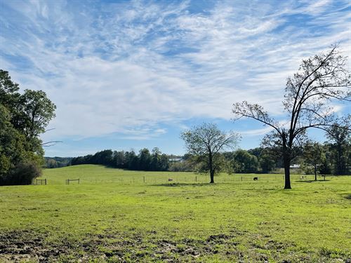 Georgia Cattle Farms for Sale : FARMFLIP
