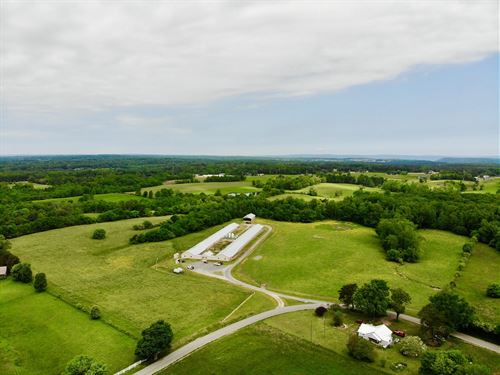 Georgia Cattle Farms for Sale : FARMFLIP