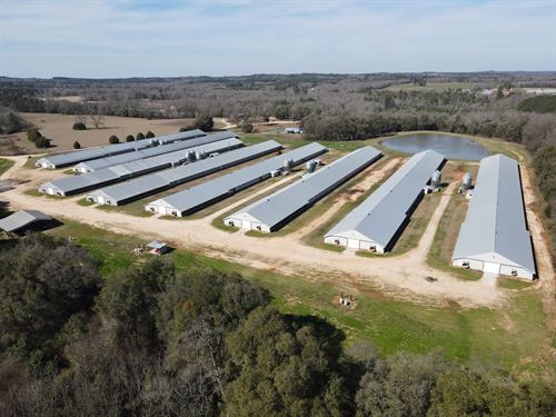 Alabama Poultry Farms for Sale : FARMFLIP