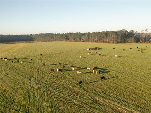 Alabama Farms for Sale With Home : Page 5 of 9 : FARMFLIP