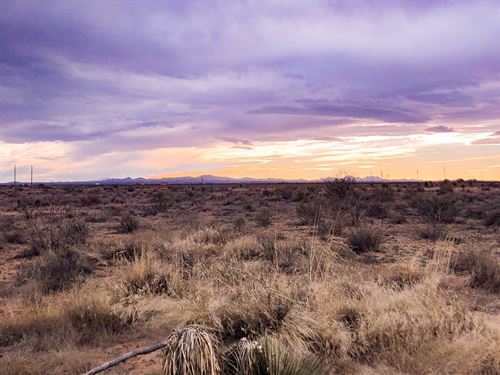 New Mexico Farms for Sale : FARMFLIP
