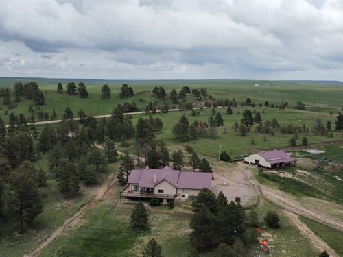 Cattle Farms for Sale : Page 6 of 52 : FARMFLIP