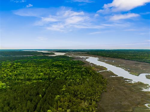 Georgia Waterfront Farms for Sale : FARMFLIP