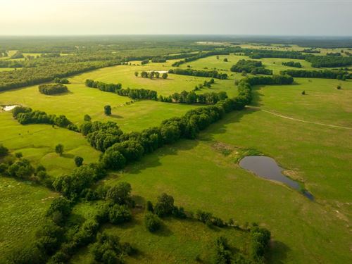 Maple Tree Farms for Sale : FARMFLIP