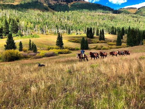 Horse Farms for Sale : Page 4 of 48 : FARMFLIP