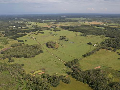 Florida Cattle Farms for Sale : FARMFLIP