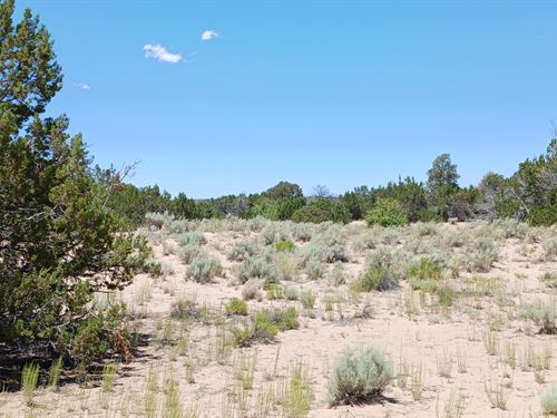 Arizona Farms for Sale : FARMFLIP