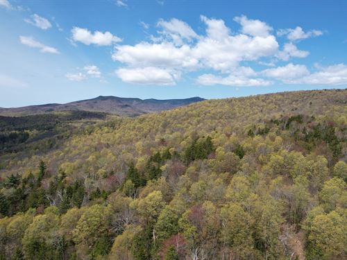 Vermont Maple Tree Farms for Sale : FARMFLIP