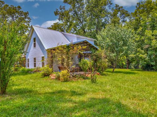 Georgia Cattle Farms for Sale : FARMFLIP