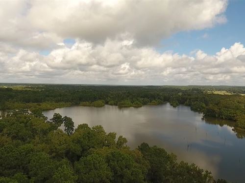 Trinity Texas Farms for Sale : FARMFLIP