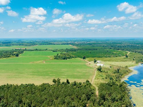 Georgia Farms for Sale : FARMFLIP