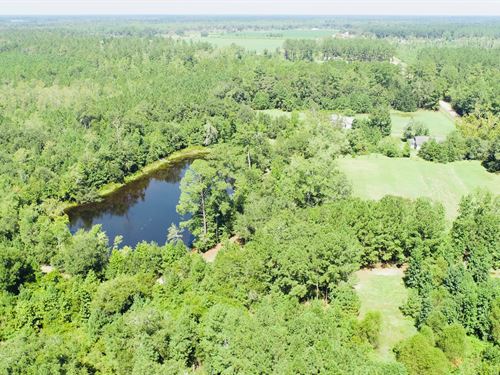 Georgia Cattle Farms for Sale : FARMFLIP