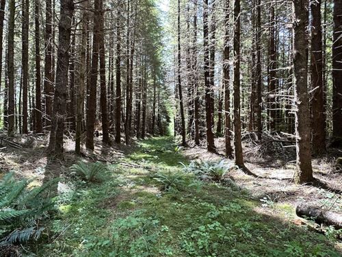 Find Farms for Sale & Farmland Near Me : Page 70 of 588 : FARMFLIP