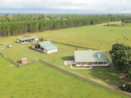 Florida Horse Farms for Sale : Page 2 of 3 : FARMFLIP