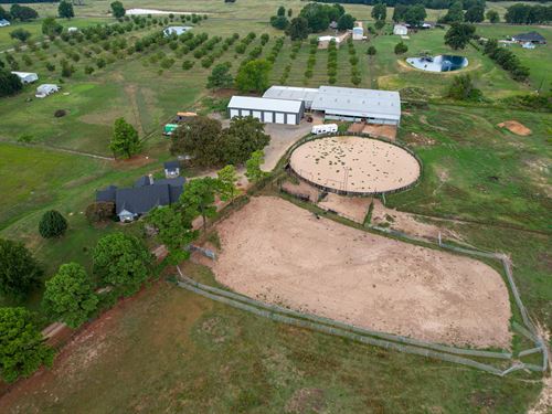 Texas Horse Farms for Sale : FARMFLIP