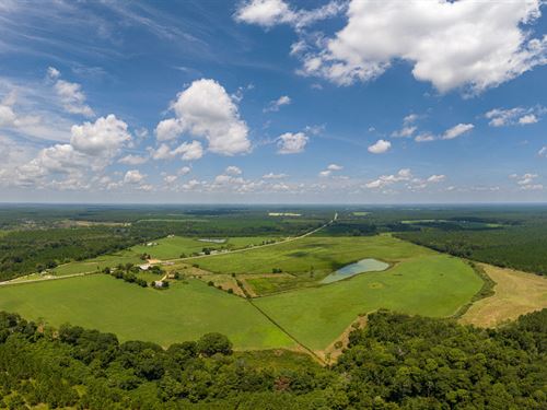 Georgia Cattle Farms for Sale : FARMFLIP