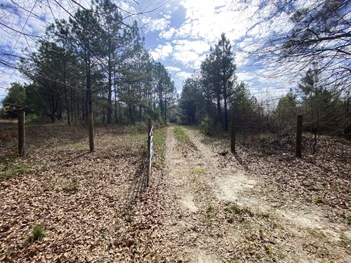 Elmore County Alabama Farms for Sale