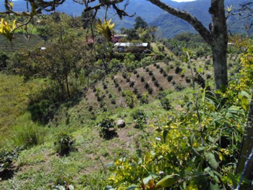 Costa Rica Farms for Sale : FARMFLIP