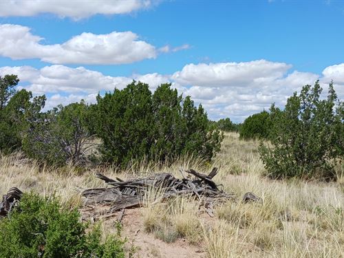 Arizona Farms for Sale : Page 2 of 12 : FARMFLIP