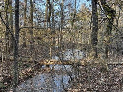 Georgia Cattle Farms for Sale : FARMFLIP