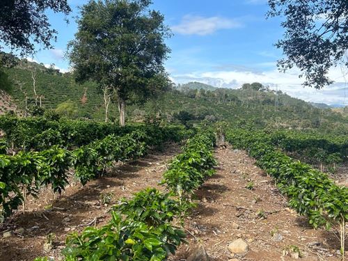 Costa Rica Farms for Sale : FARMFLIP