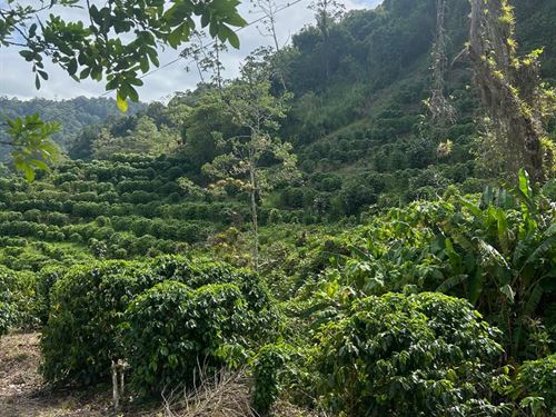 Costa Rica Farms for Sale : FARMFLIP