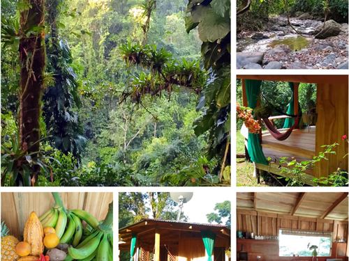 Costa Rica Farms for Sale : FARMFLIP