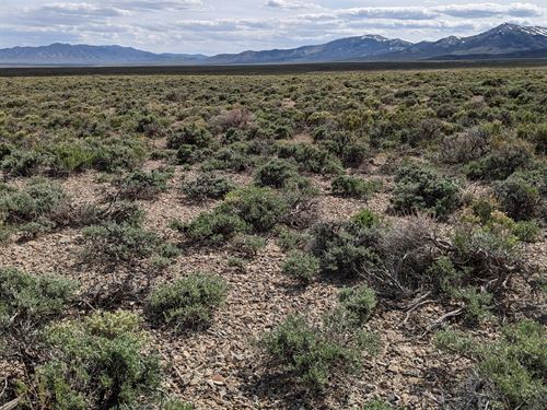 Nevada Farms for Sale : FARMFLIP