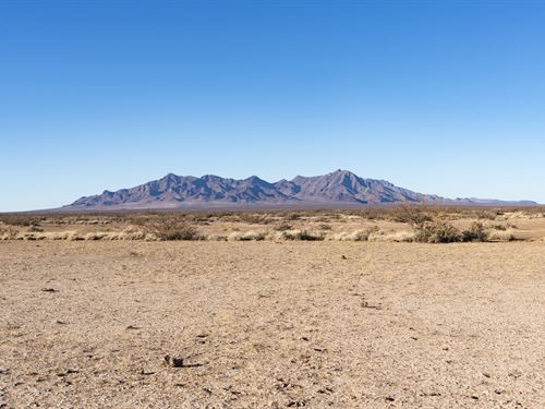 New Mexico Farms for Sale : FARMFLIP