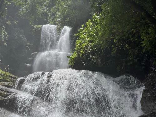 Costa Rica Farms for Sale : FARMFLIP