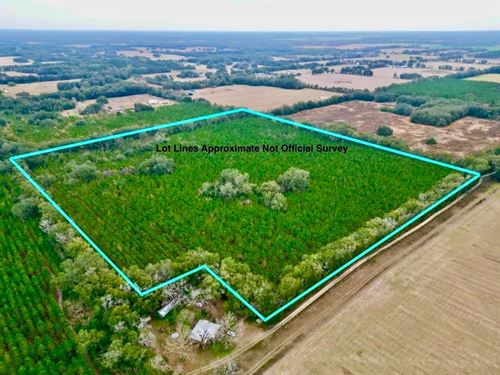 Alachua County Florida Farms for Sale