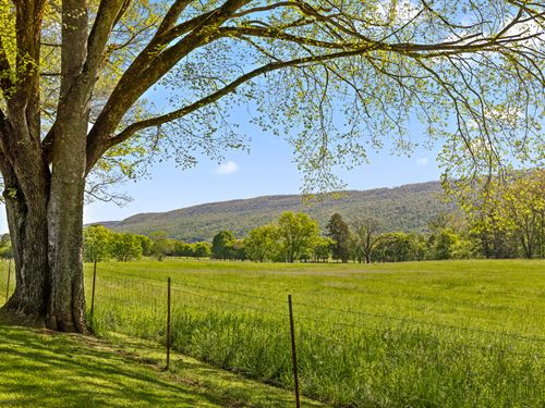 Tennessee Cattle Farms for Sale