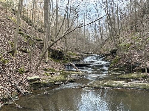Georgia Blueberry Farms for Sale : FARMFLIP