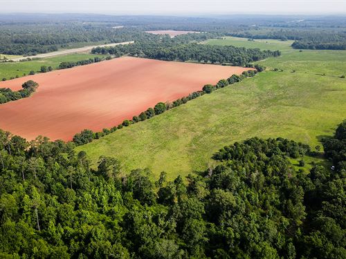 Georgia Cattle Farms for Sale : FARMFLIP