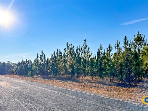 South Carolina Farms for Sale : Page 2 of 17 : FARMFLIP