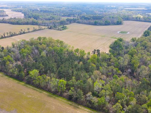 Georgia Cattle Farms for Sale : FARMFLIP