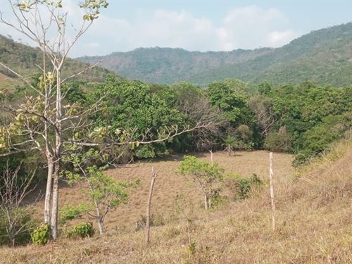 Costa Rica Farms for Sale : FARMFLIP