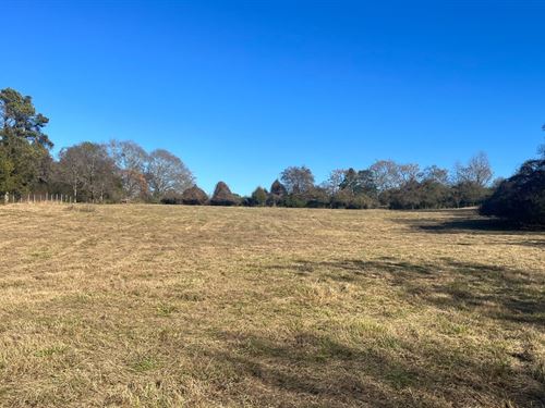 Georgia Minifarm Farms for Sale : FARMFLIP