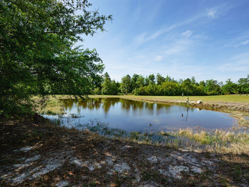Georgia Plantation Farms for Sale : FARMFLIP