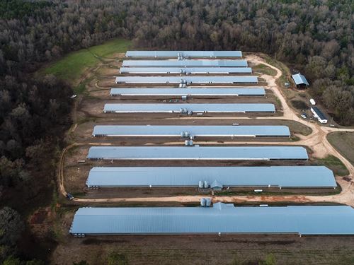 Mississippi Farms for Sale : FARMFLIP