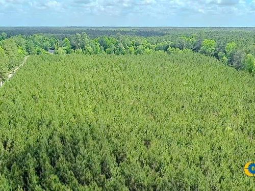 South Carolina Farms for Sale : Page 3 of 17 : FARMFLIP