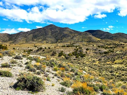 Montello Farms for Sale by Owner (FSBO) : FARMFLIP