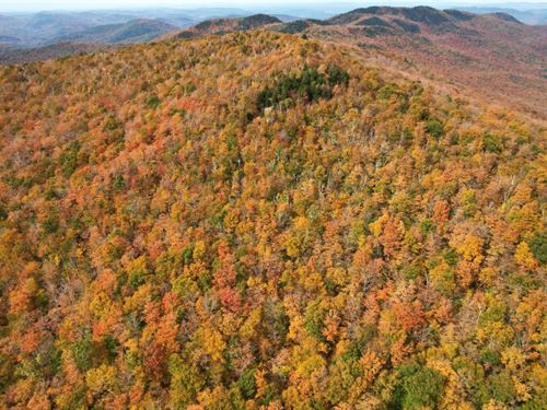 Vermont Maple Tree Farms for Sale