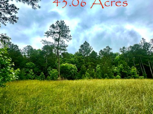 Georgia Farms for Sale : Page 3 of 63 : FARMFLIP