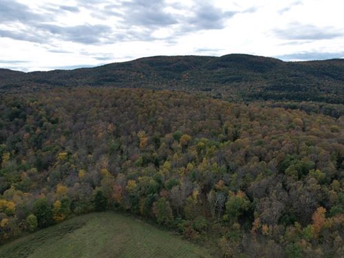 Vermont Maple Tree Farms for Sale