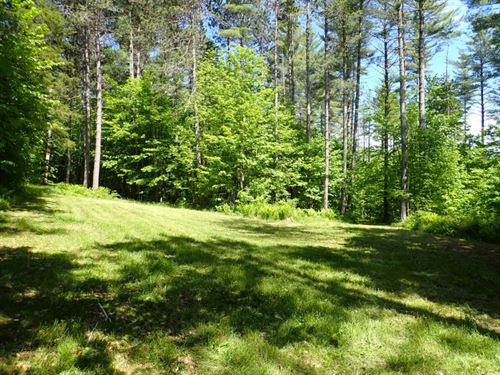 Vermont Maple Tree Farms for Sale