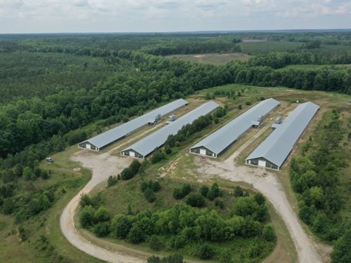 Poultry Farms for Sale : Page 7 of 11