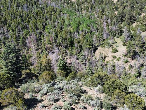 Colorado Farms for Sale : Page 3 of 40 : FARMFLIP